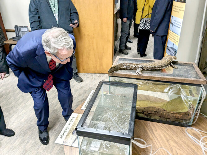 DeWine Meets Branagan, the Eastern Hellbender | News, Sports, Jobs ...